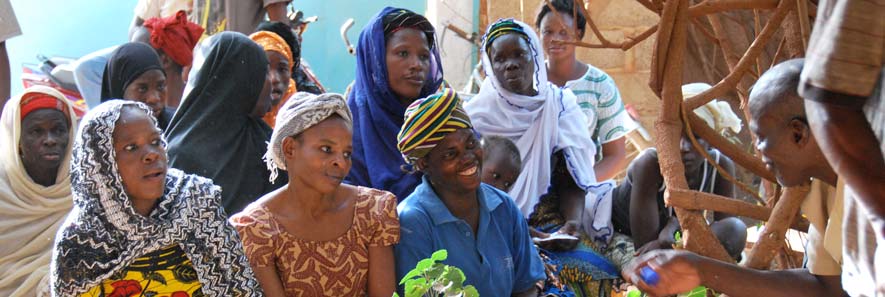 Association Song Taaba